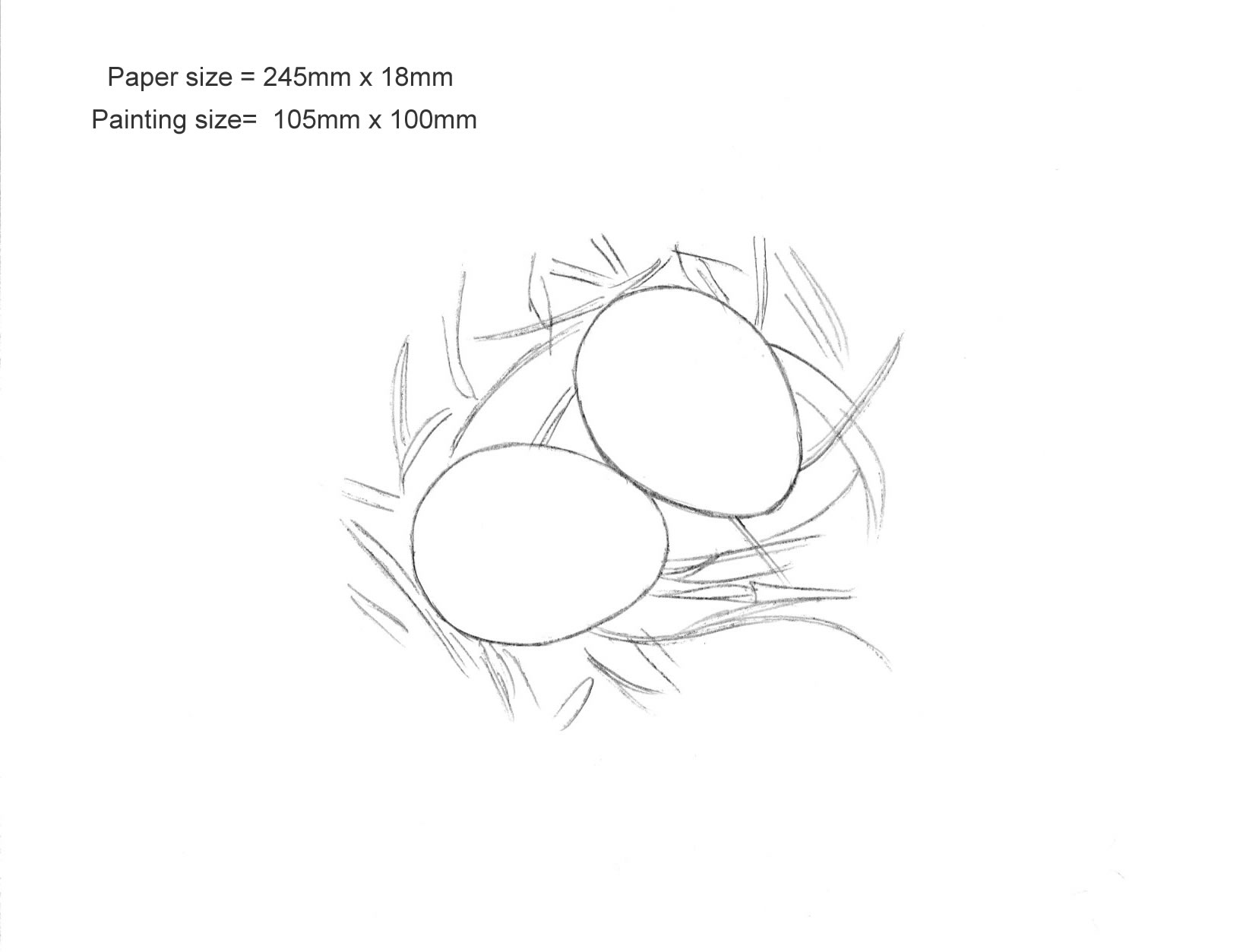 How to paint realistic bird eggs in detailed watercolour - The Devon Artist