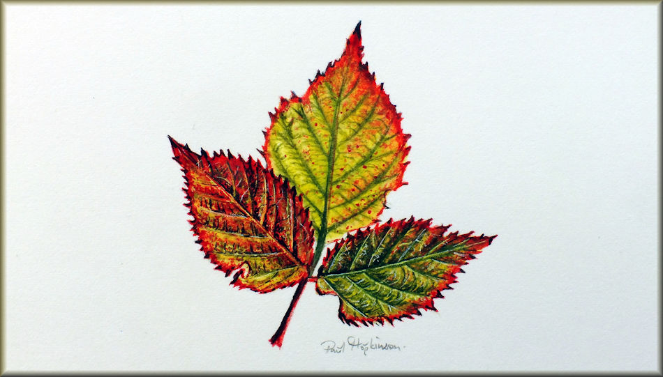 Learn to paint realistic leaves in detailed watercolour - The Devon Artist