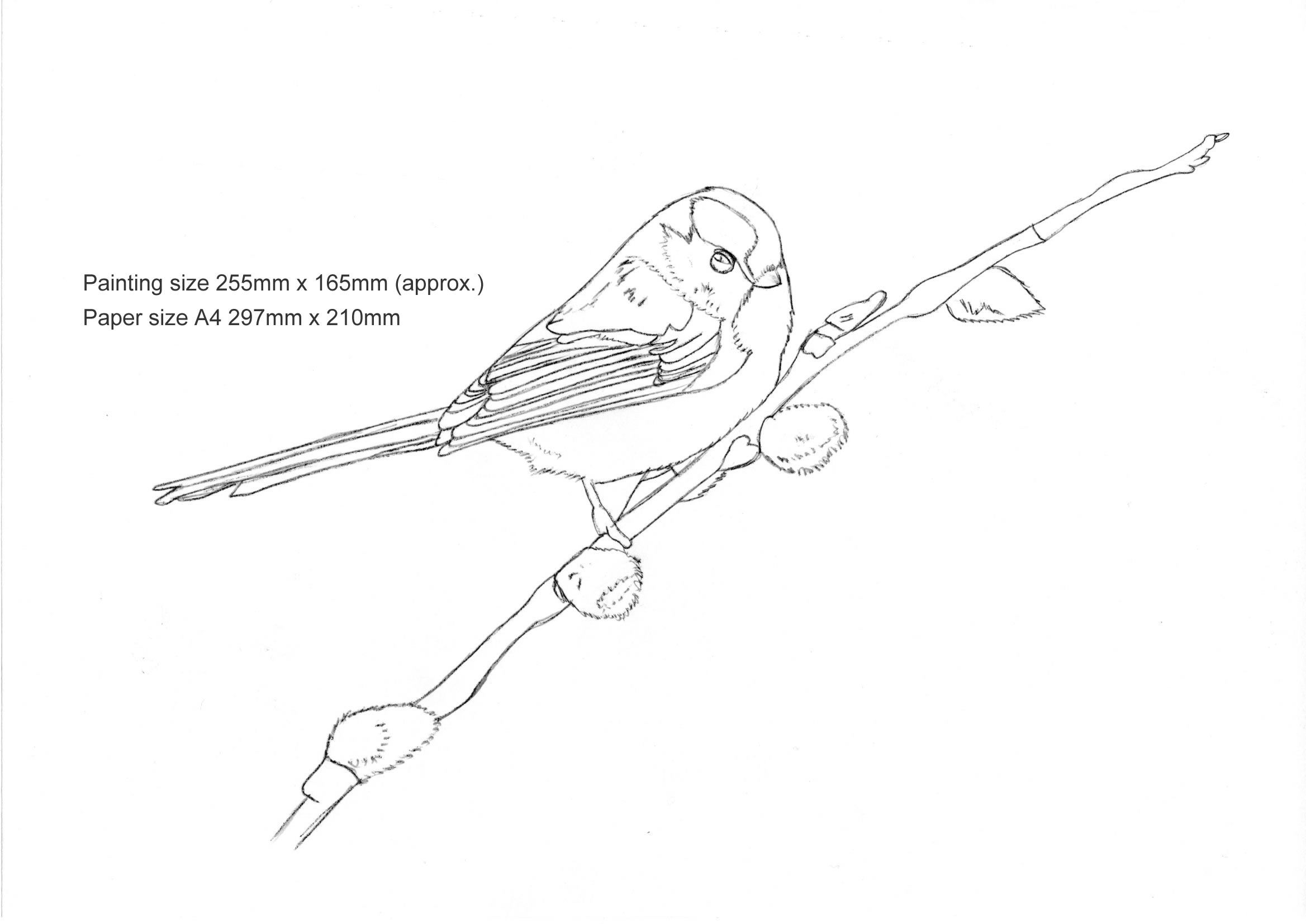 Realistic watercolour video tutorials on painting wildlife - The Devon ...