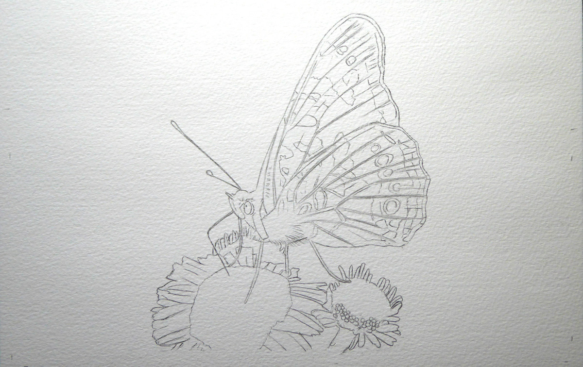 Video tutorial on a watercolour butterfly, paint realistic art - The ...