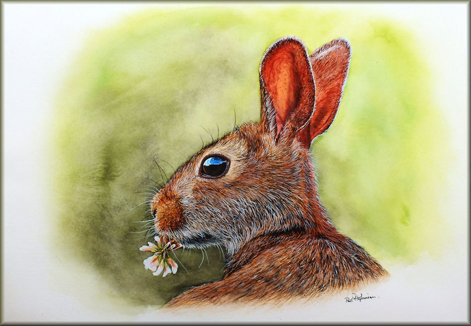 Learn how to paint animals in realistic watercolour - The Devon Artist