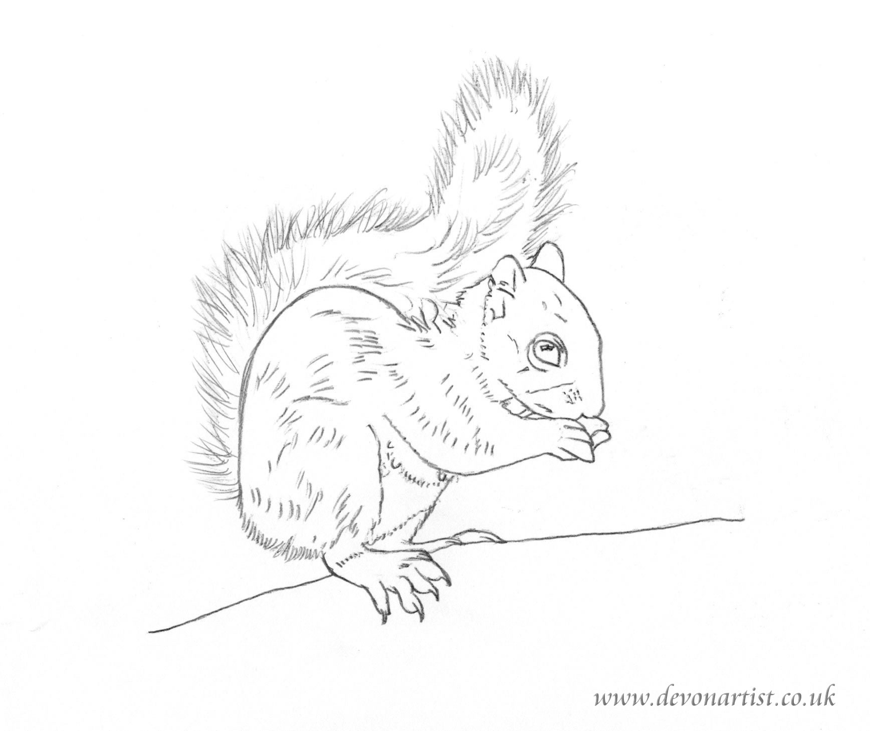 Watercolor video tutorials for beginners, learn to paint - The Devon Artist