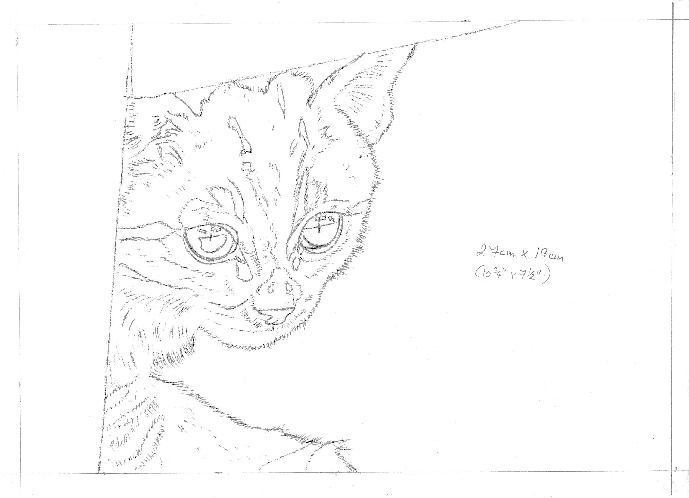 Video tutorial on painting a cat in detailed watercolour - The Devon Artist