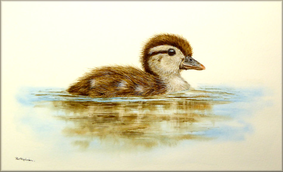 Learn to paint water in watercolour with a video tutorial - The Devon ...