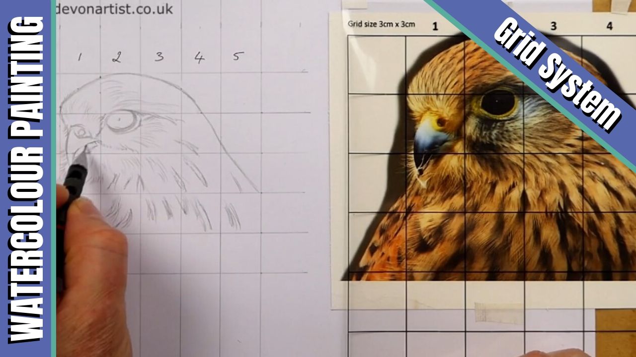 Watercolour tips and techniques, with great ideas to try - The Devon Artist