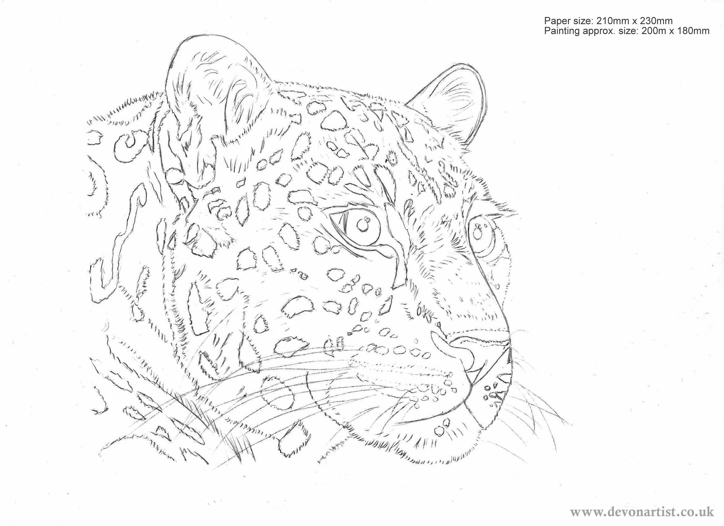 Realistic watercolor video tutorial, how to paint a leopard - The Devon ...