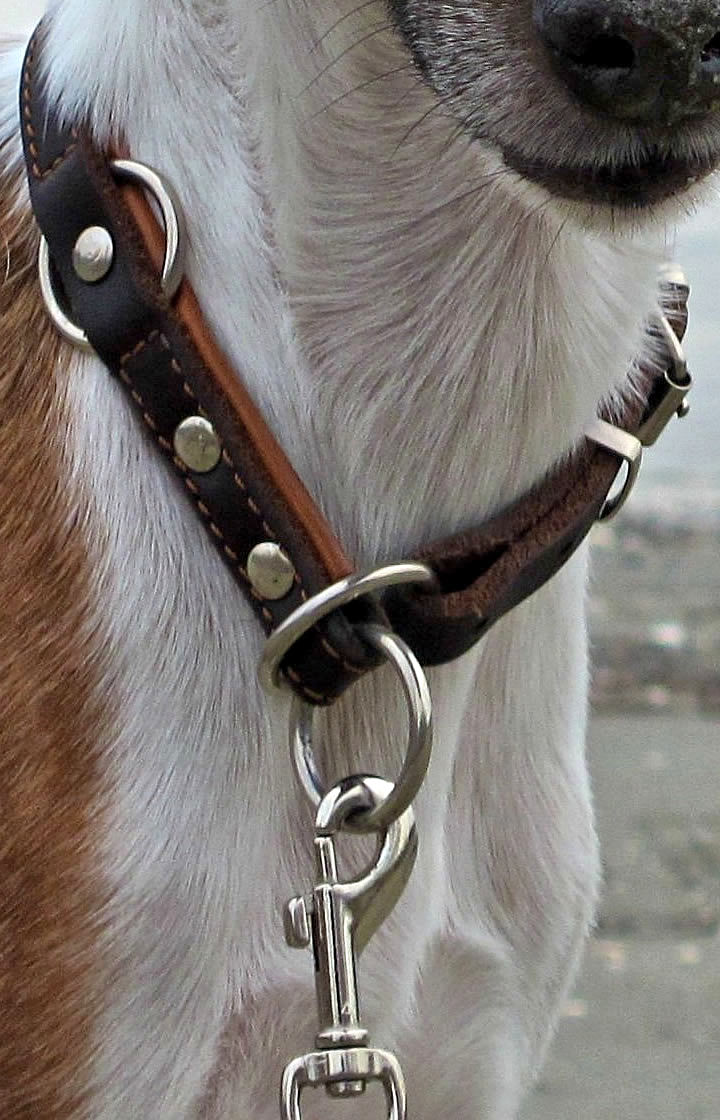 Painting metal and leather in watercolor, texture tutorial - The Devon ...