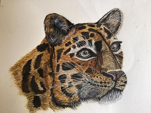 Realistic watercolor video tutorial, how to paint a leopard - The Devon ...