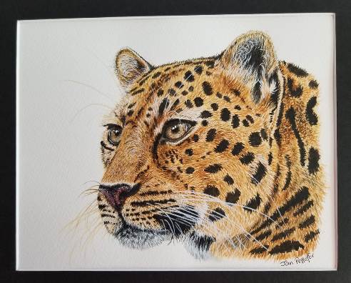 Realistic watercolor video tutorial, how to paint a leopard - The Devon ...