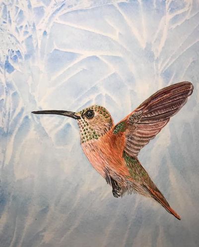 Video tutorial on painting a hummingbird in watercolour - The Devon Artist