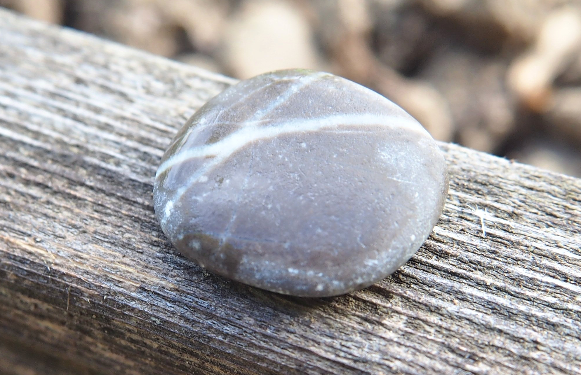 How to paint realistic watercolour rocks - video tutorial - The Devon ...