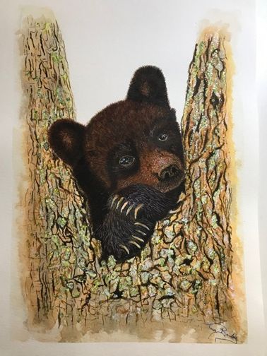 Painting a realistic watercolor bear, complete tutorial - The Devon Artist