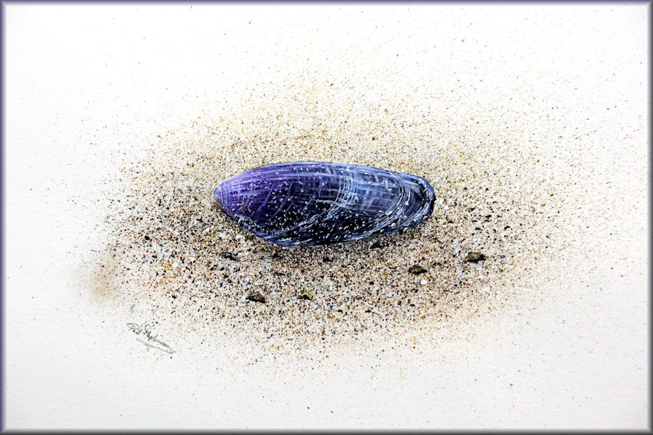 Shell painting video tutorial, a watercolour mussel shell - The Devon ...