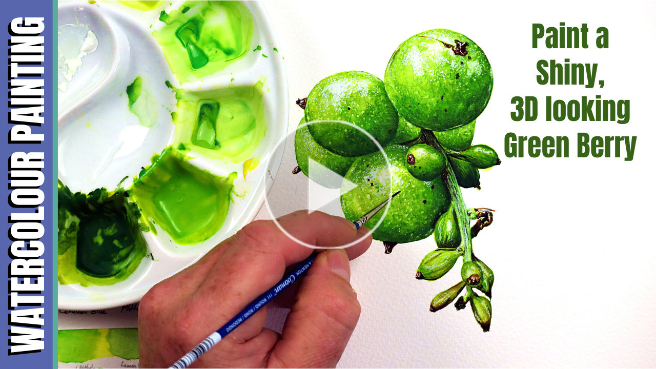 Realistic botanical watercolor berry, step by step video - The Devon Artist