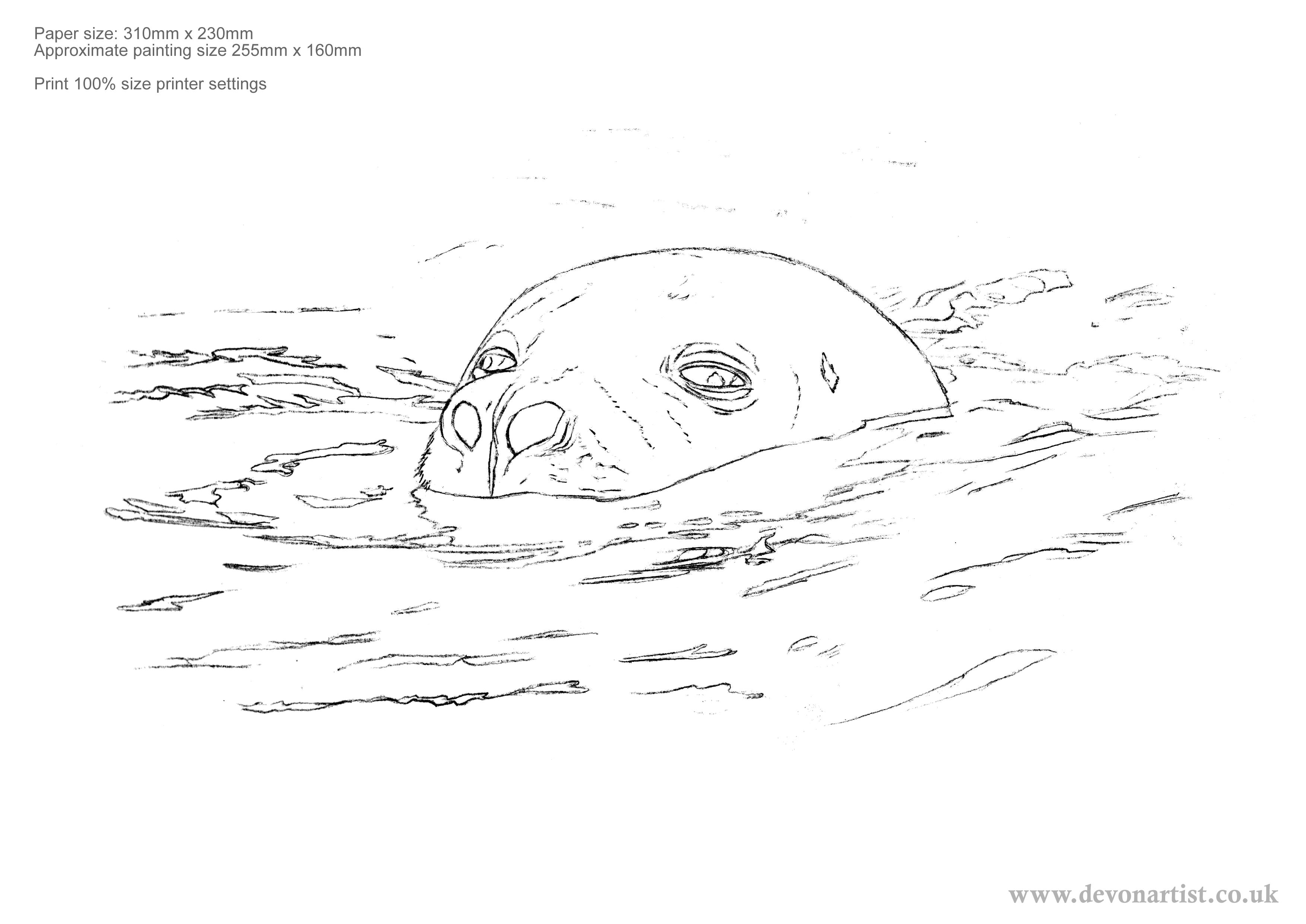 How to paint a realistic seal in the sea - The Devon Artist