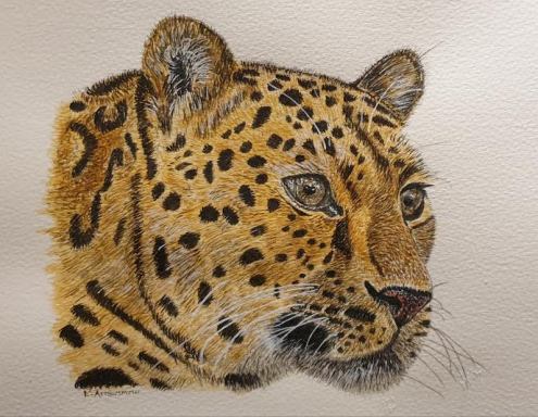 Realistic watercolor video tutorial, how to paint a leopard - The Devon ...