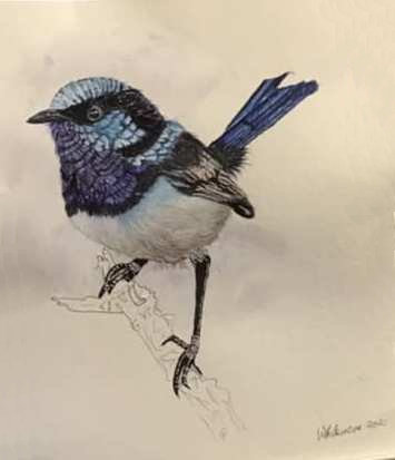 Wren watercolour video tutorial, step-by-step art lesson - The Devon Artist
