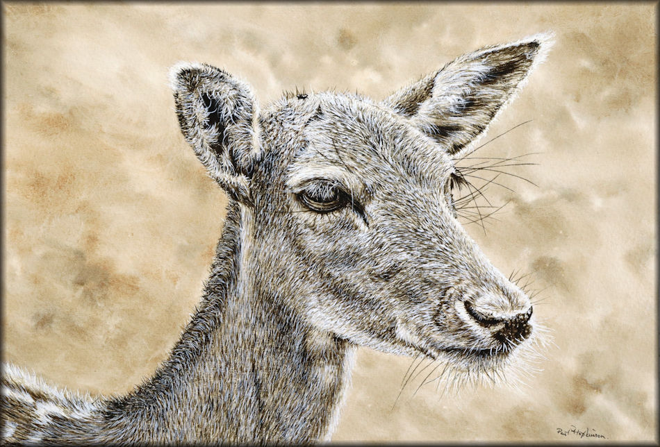 Tutorial Fallow Deer - The Devon Artist