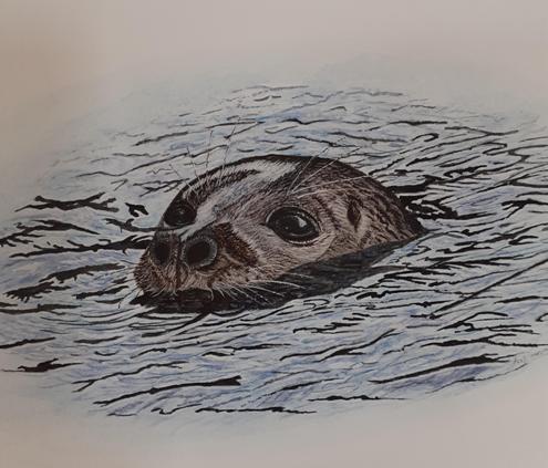 How to paint a realistic seal in the sea - The Devon Artist