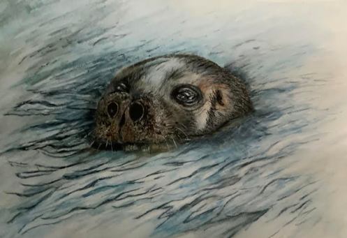 How to paint a realistic seal in the sea - The Devon Artist