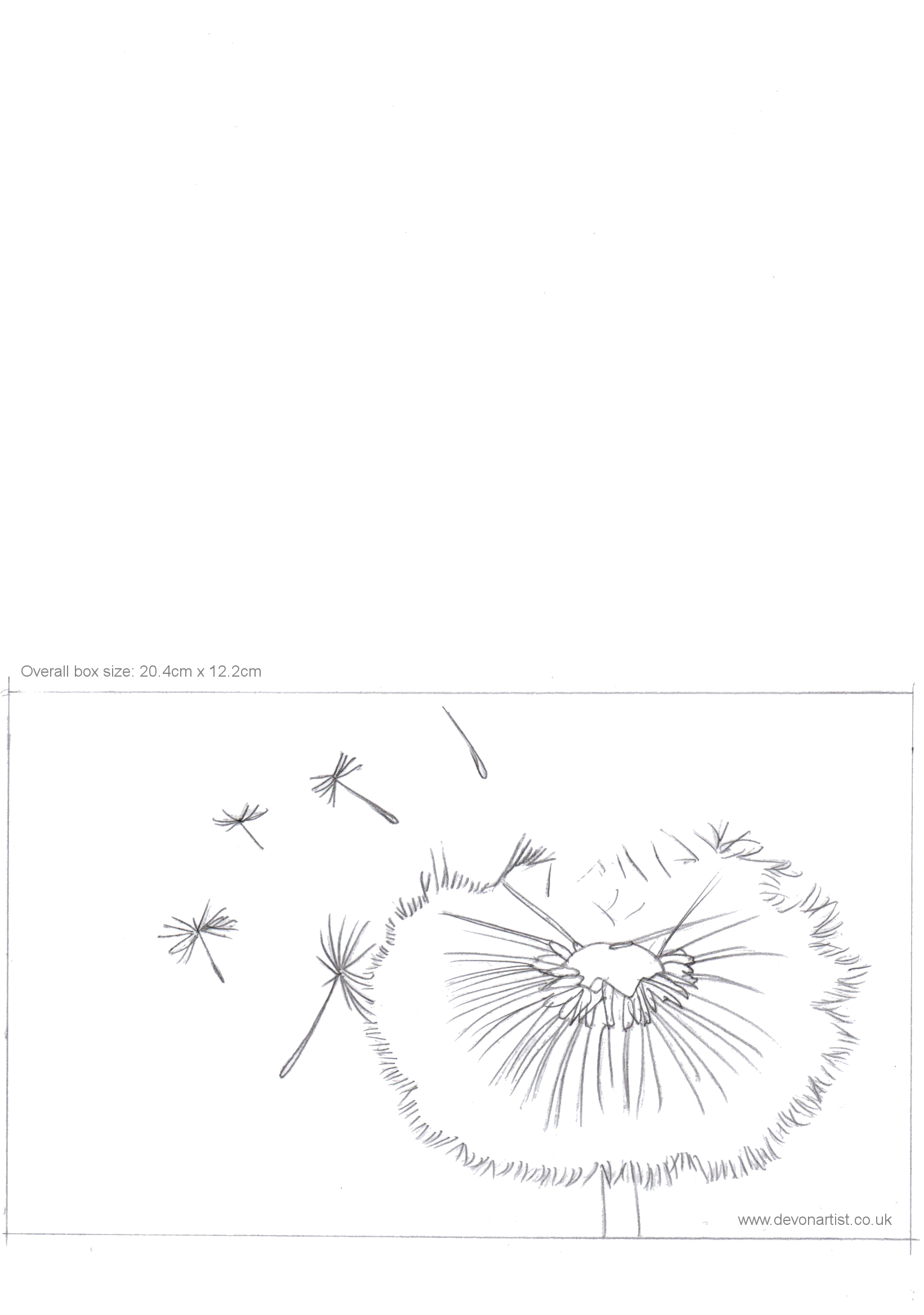 Botanical watercolour wildflower study, art video tutorial - The Devon ...