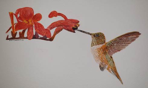Video tutorial on painting a hummingbird in watercolour - The Devon Artist