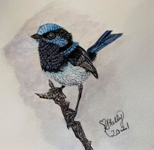 Wren watercolour video tutorial, step-by-step art lesson - The Devon Artist