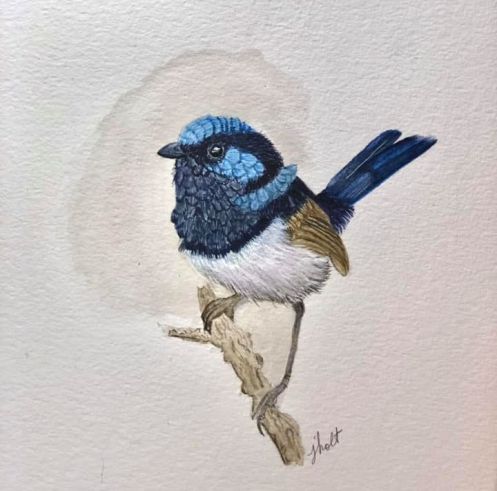 Wren watercolour video tutorial, step-by-step art lesson - The Devon Artist