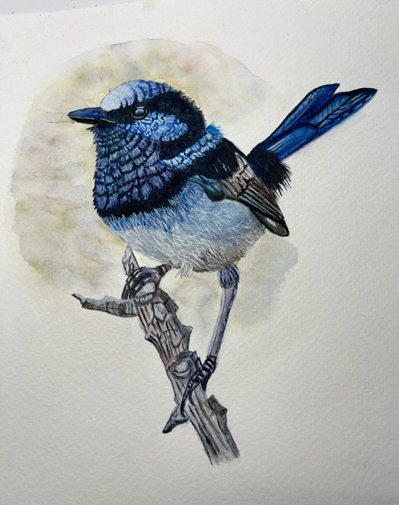 Wren watercolour video tutorial, step-by-step art lesson - The Devon Artist