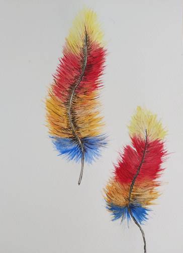 Video lesson on how to paint feathers in watercolour - The Devon Artist