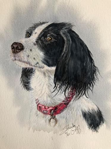 How to paint a dog in watercolor a detailed video tutorial - The Devon ...