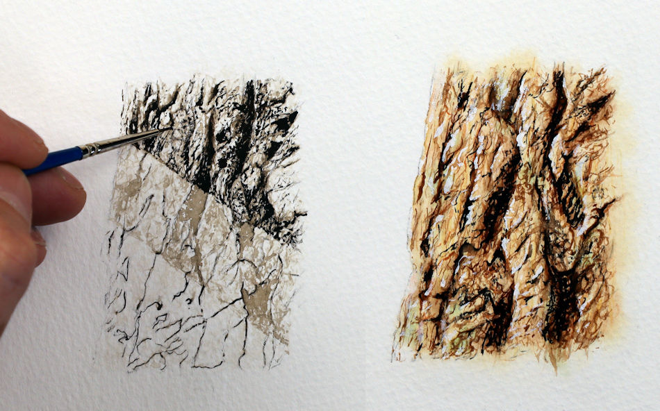 Painting realistic watercolour texture - bark study lesson - The Devon ...