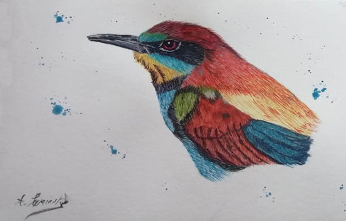 Free tutorial learn to paint a bee-eater in watercolour - The Devon Artist