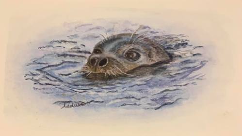 How to paint a realistic seal in the sea - The Devon Artist