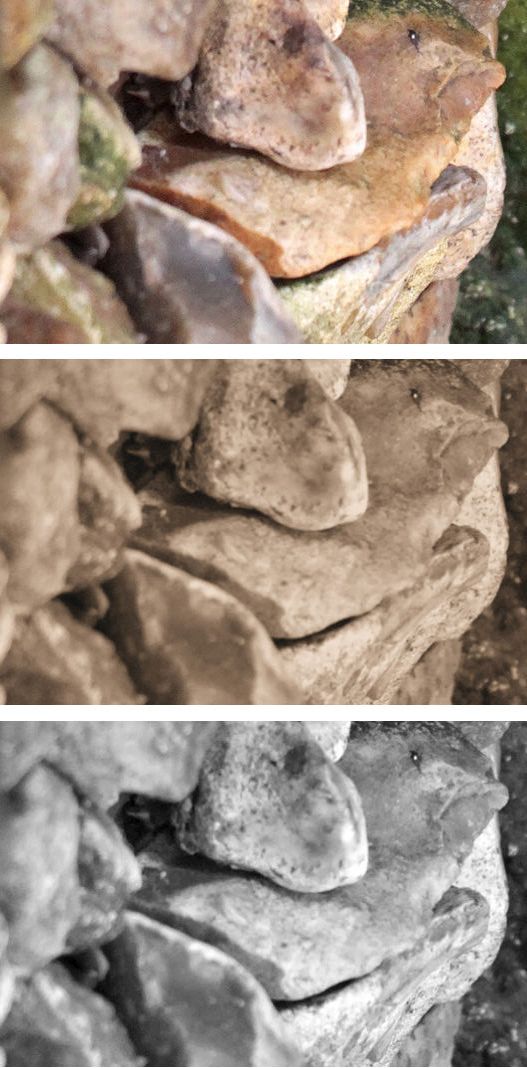 Learn to paint realistically with watercolour, illustration art- The ...