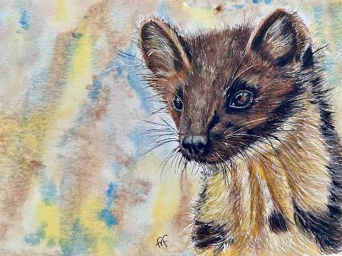 Watercolour wildlife painting lesson, realistic fine detail - The Devon ...