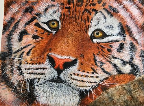 A tiger in watercolour video lesson, step by step guide - The Devon Artist