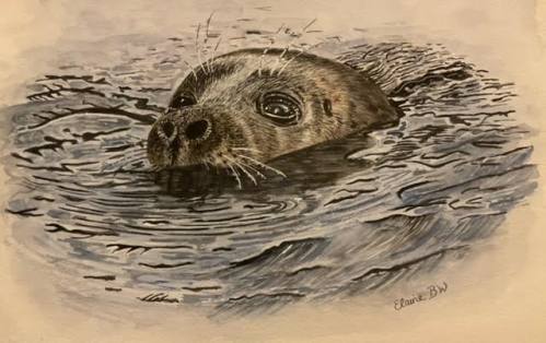 How to paint a realistic seal in the sea - The Devon Artist