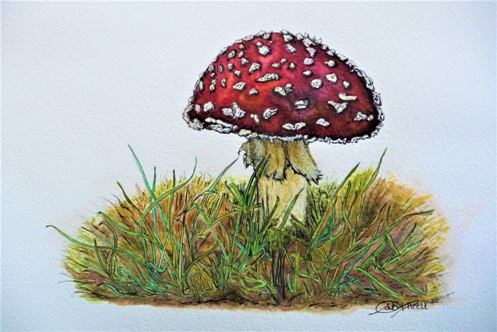 Pen and Wash Toadstool Illustration using Watercolour - The Devon Artist