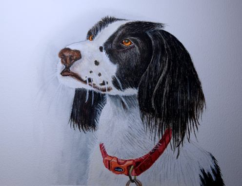 How to paint a dog in watercolor a detailed video tutorial - The Devon ...