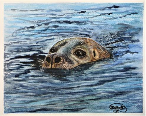 How to paint a realistic seal in the sea - The Devon Artist