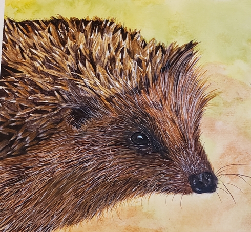 How to paint a hedgehog in watercolour in easy stages - The Devon Artist