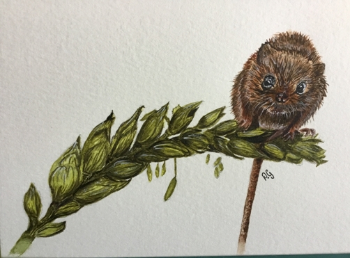 Beginner's guide to watercolour painting, video lessons - The Devon Artist