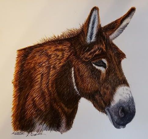 How to paint a donkey in watercolour, video art lesson - The Devon Artist
