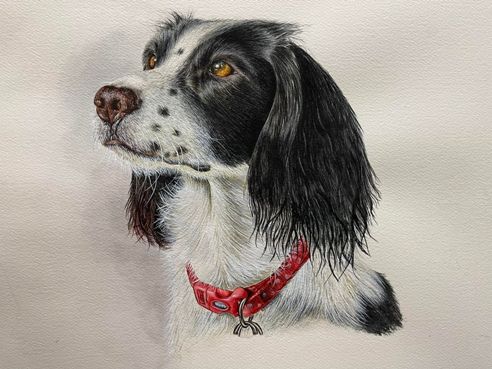 How to paint a dog in watercolor a detailed video tutorial - The Devon ...