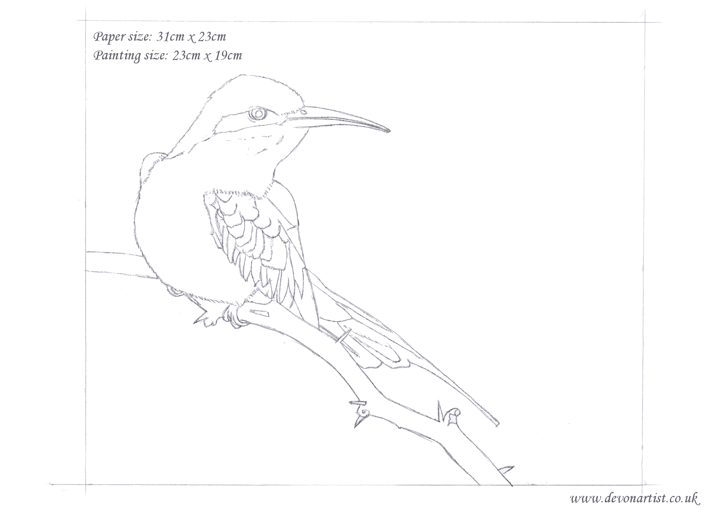 Watercolor bird painting course, learn lots of tips - The Devon Artist