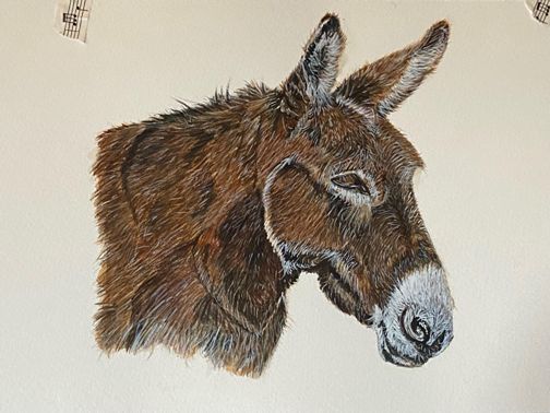 How to paint a donkey in watercolour, video art lesson - The Devon Artist