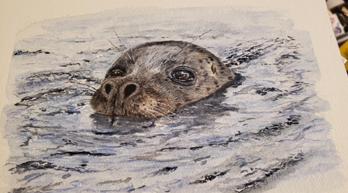 How to paint a realistic seal in the sea - The Devon Artist