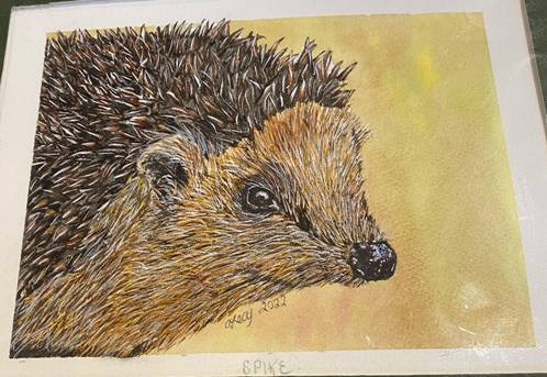 How to paint a hedgehog in watercolour in easy stages - The Devon Artist