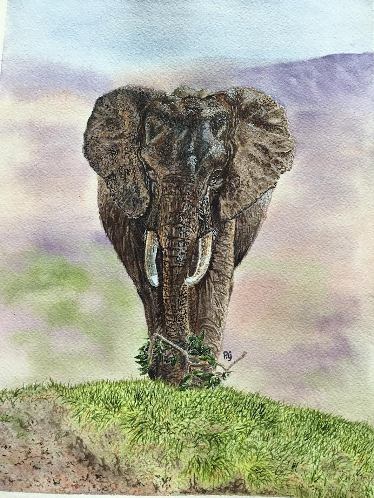 Elephant painting watercolor tutorial, realistic fine-art - The Devon ...